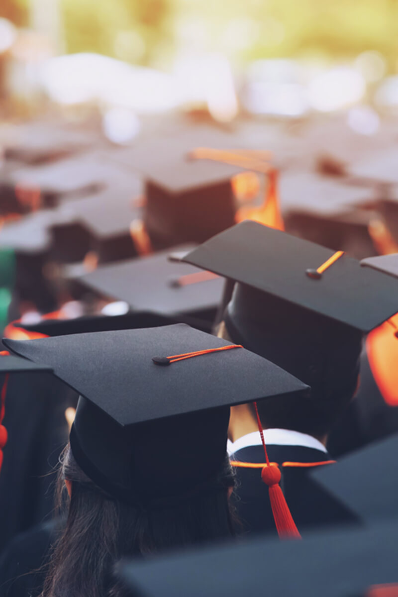 International Foundation Programme | SIM